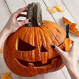 AmuseNd Halloween Pumpkin Carving kit, 7 Piece Professional Pumpkin Cutting Stainless Steel Carving Tools with Carrying Bag