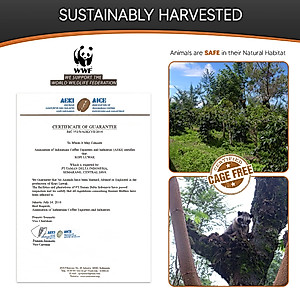 Cafés Granell Wild Civet Arabica Coffee Beans, Medium Roast Gourmet Indonesian Luwak Coffee Gifts, 100g