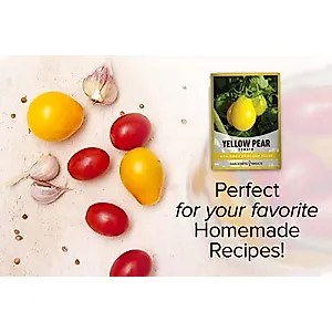 Yellow Pear Tomato Seeds for Planting Heirloom Non-GMO Seeds for Home Garden Vegetables Makes a Great Gift for Gardening by Gardeners Basics