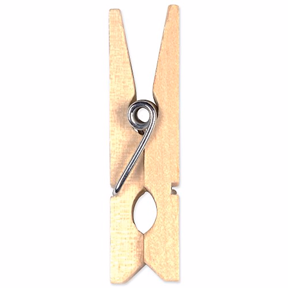 DII Clothesline Collage, Photo Display Collection, Extra Wooden Clips, Set of 50