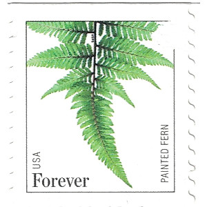 USPS Ferns Stamps - 50 Forever Stamps (5 Strips of 10 Stamps)