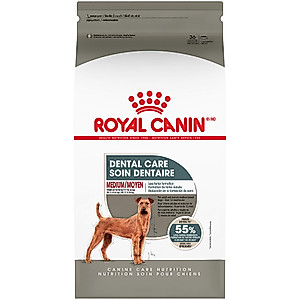 Royal Canin Medium Dog Dental Care Dry Dog Food, 28 lb bag