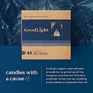 GOODLIGHT 5 Hour Tea Lights 48pk, 48 CT