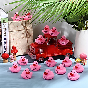 30 Pcs Pink Rubber Ducks You've Been Ducks Shower Rubber Ducks 2.16 Inch Rubber Ducks Small Ducks Float Bathtub Toys Party Favor for Birthday Carnival Ducking Game