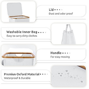 66L Laundry Hamper with Lid and Liner Bag, 19.7" Tall Laundry Basket with Handle, Waterproof and Collapsible Cloth Hamper for Bedroom and Bathroom, White