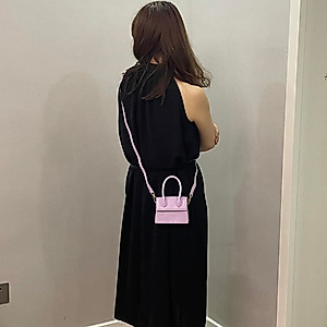 Cute Purse Mini Crossbody Bags for Women Top Handle Clutch Handbag (Light Purple)