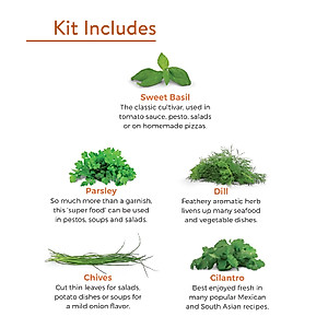 Burpee Culinary Garden Starter Kit Packets, 5 Pots, 5 Coir Pellets & 5 Plant Markers Non-GMO Herb Seeds: Cilantro, Dill, Parsley, Sweet Basil & Chives
