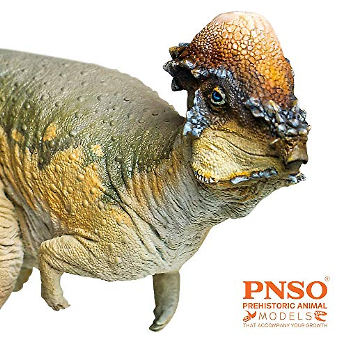 PNSO Prehistoric Dinosaur Models (46 Austin The Pachycephalosaurus)