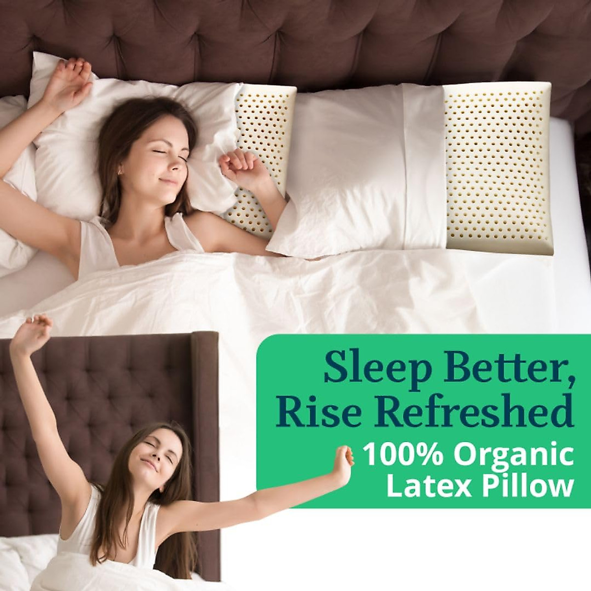 OrganicTextiles Talalay Latex Pillow with Organic Cotton Cover (Queen Size, Soft), GOTS Certified, Bed Pillow for Sleeping, Neck Pain Relief Help, Head Support, for Side Back Stomach Sleeper