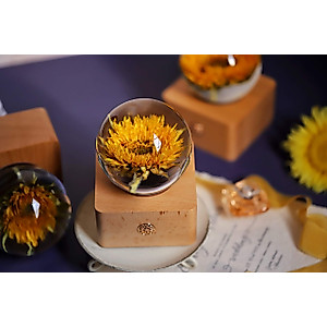 MISS LI GARDEN Forever Teddy Sunflower Crystal Ball with LED Lights,Best Gifts for Her Wife Girlfriend Women, Anniversary, Mothers Day, Birthday, Valentine's Day Home Décor