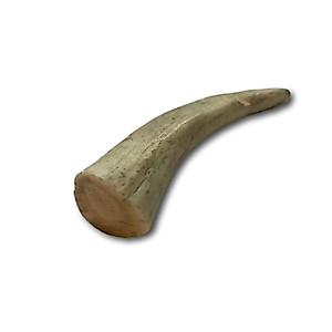 Top Dog Chews Premium Grade A Natural Shed Hard Moose Antler by The Pound. Variety Pack Brand! (1LB)