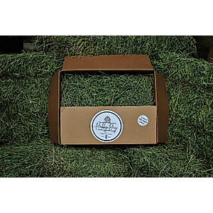 Hobby Hay Alfalfa and Orchard Grass Mixed Hay - All Natural Hay for Rabbits, Guinea Pigs, Hamsters, Gerbils, and Other Small Animals - 8 lb