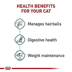 Royal Canin Hairball Care Thin Slices in Gravy Wet Cat Food, 3 oz can (24-count)