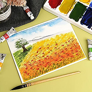 Paul Rubens Watercolor Paint, 24 Vibrant Colors Highly Pigmented, 5ml Each Tube, Perfect for Painters, Artists, Hobbyist, Beginners, Students