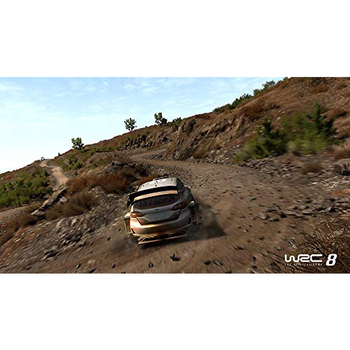 WRC 8: FIA World Rally Championship (XB1)