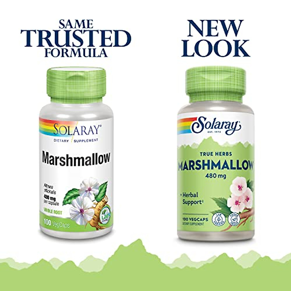 SOLARAY Marshmallow Root, Healthy Respiratory Function & Digestion Support, Non-GMO & Vegan | 100 VegCaps