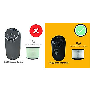 Flintar BS-03 H13 True HEPA Replacement Filter, Compatible with PARTU and SLEVOO BS-03 HEPA Air Purifier, 2-Pack