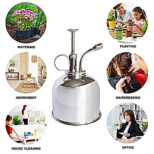 Brass Silver Spray Lianshi can Plant Spay Bottle Inner Flower Spray Mister 300ml/10.56 oz 1pcs/Lot