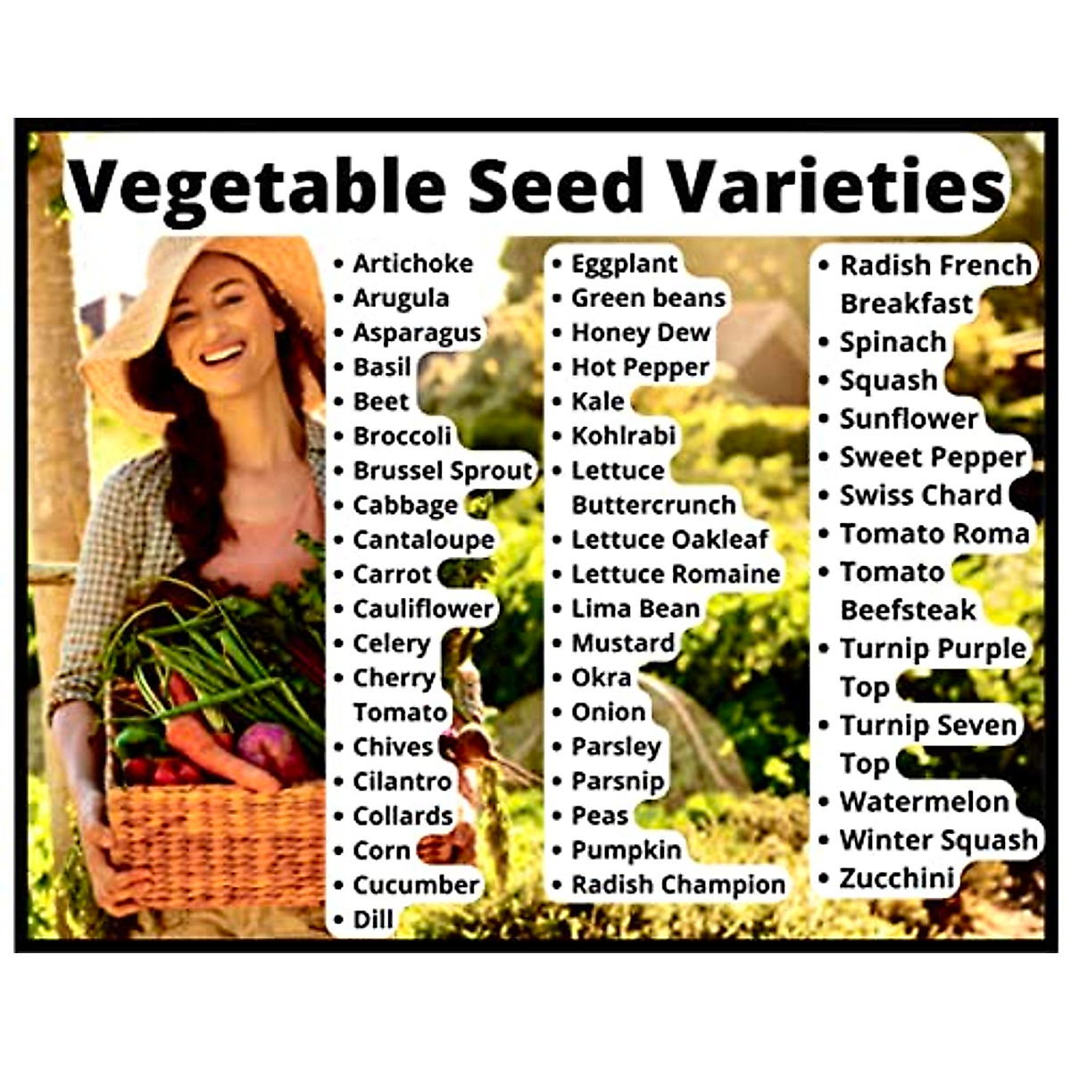 50 Vegetable & Fruit Seeds for Planting Your Outdoor & Indoor Home Seed Garden Gear. 12,500 Seeds, 50 Seed Markers, Growing Guide, & Survival Package. Gardening Heirloom Non-GMO Veggie Seed B&KM Farms