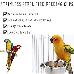 kathson 2 Pack Bird Feeding Cups with Clamp Holder, Parrot Food & Water Cage Hanging Bowl Stainless Steel Coop Cup Dish Feeder for Parakeet Cockatiels Conure Budgies Lovebird Finch