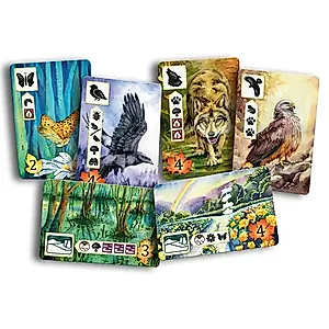 Meadow Board Game - Nature Observing Drafting and Set Collection Game, Strategic Exploration, Fun Family Game for Kids & Adults, Ages 10+, 1-4 Players, 60-90 Minute Playtime, Made by Rebel Studio