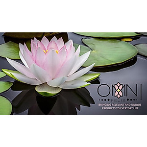 Omni Felix Magnetic Knife Block, Clean and Efficient Knife Holder and Storage, Beautiful Natural Acacia Wood Knife Display Stand, Strong Magnetic Double Sided Kitchen Knife Holder