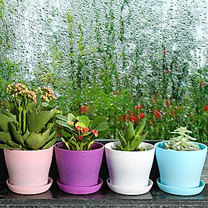 TDHDIKE 25 Pcs Plastic Planters Indoor Flower Plant Pots, Mini Flower Seedlings Nursery Pot with Pallet, Modern Decorative Gardening Containers (White, 25)