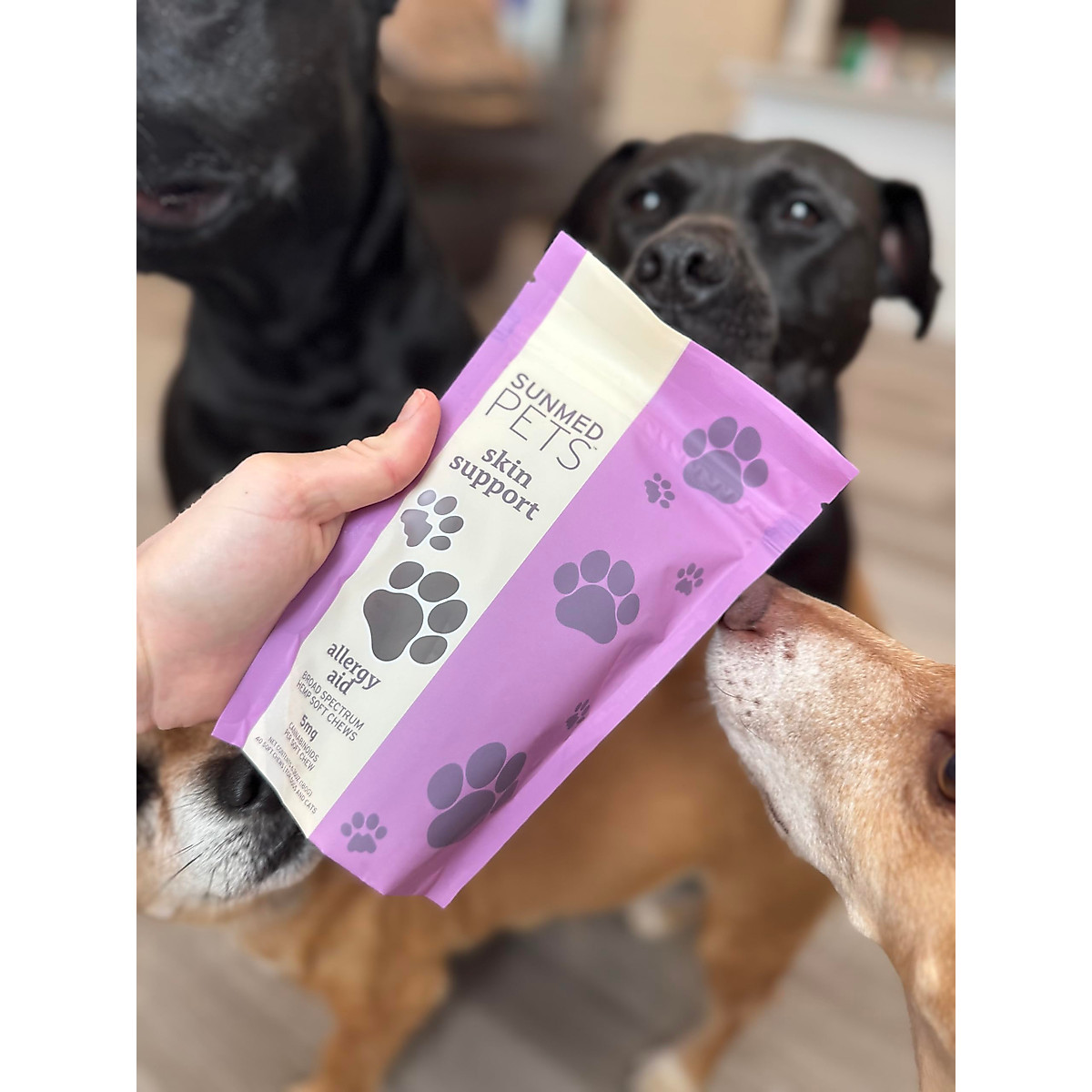 SUNMED Skin Support Dog Allergy Relief Chews with Nettle, Quercetin & Green-Lipped Mussel - Natural Seasonal Dog Allergy Chews to Soothe Skin & Support Health, 40 Count