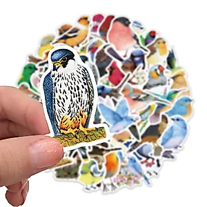 100 PCS Bird Stickers, Vinyl Waterproof Bird Stickers for Water Bottles, Laptop, Notebook, Scrapbook, Luggage, Cell Phone, Skateboard, Helmet