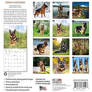 RED EMBER German Shepherds 2024 Wall Calendar 12 Month | 12" x 24" Open | Thick & Sturdy Paper | Giftable | Calendar 2024
