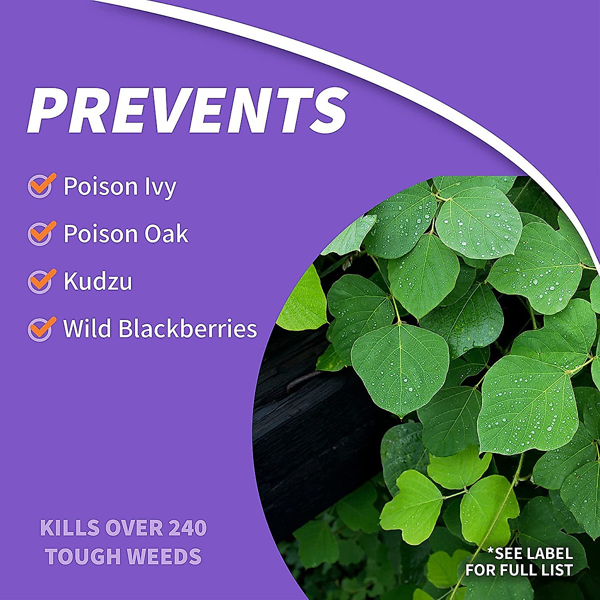 Bonide Poison Ivy Products 331 Concentrate Brush Weed Killer, 32-Ounce, Pack of 2