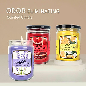 SOFT BREEZE 13oz Odor Eliminating Candle,10% High Fragranced,Odor Killer Candle, Odor Eliminating Candle,Cat Odor Eliminator,Odor Eliminator for Home,Up to 50 Hour Burn time,Soy Blend,Lavender