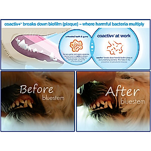 Pet Water Additive Oral Care: for Dogs & Cats Bad Breath, Dental Rinse Freshener Treats Plaque & Teeth Tartar. Dog & Cat Mouth Clean Health Treatment for Pets Drinking Bowl (Vanilla Mint (Dogs Only))