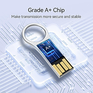 RAOYI 10 Pack 2GB Metal Key Shape USB Flash Drive, USB 2.0 Memory Stick Thumb Drives Jump Drive-Silver