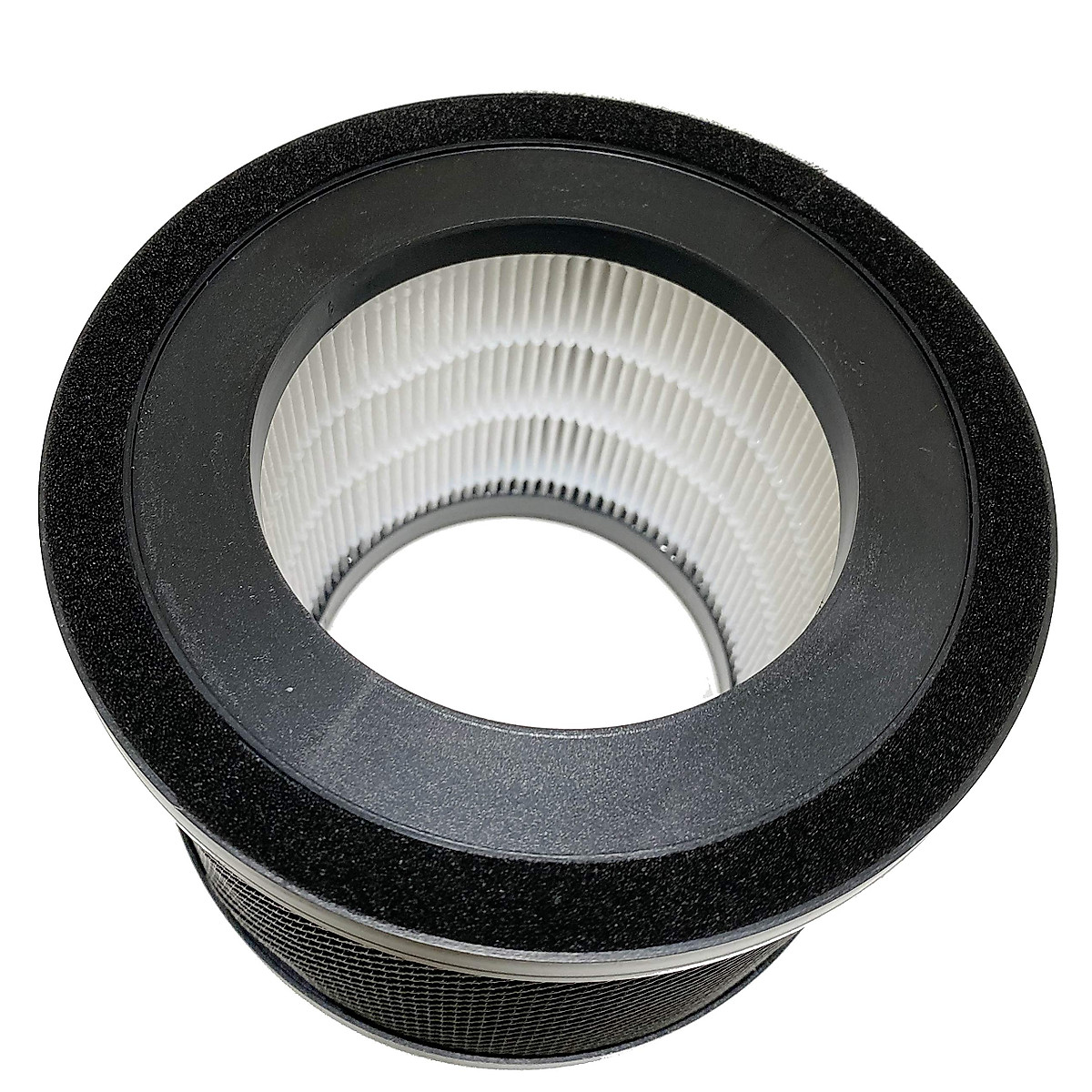 Nispira True HEPA Replacement Filter for Air Purifier, Compatible with Tao Tronics TT-AP001, 2 Packs