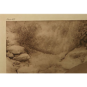 Edward S. Curtis (1868-1952) - Depositing a Prayer Stick, Circa 1921, Photogravure, 13.375" x 17.375"