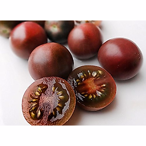 30+ Black Cherry Tomato Seeds, Heirloom Non-GMO, Low Acid, Indeterminate, Open-Pollinated, Sweet, Productive, from USA