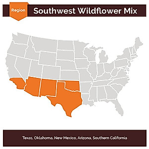 Southwest Wildflower Seed Mix - 1/4 Pound - Mixed Wildflower Seeds, Attracts Bees, Attracts Butterflies, Attracts Hummingbirds, Attracts Pollinators, Easy to Grow & Maintain, Cut Flower Garden