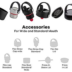 Standard Mouth Flex Straw Cap Black