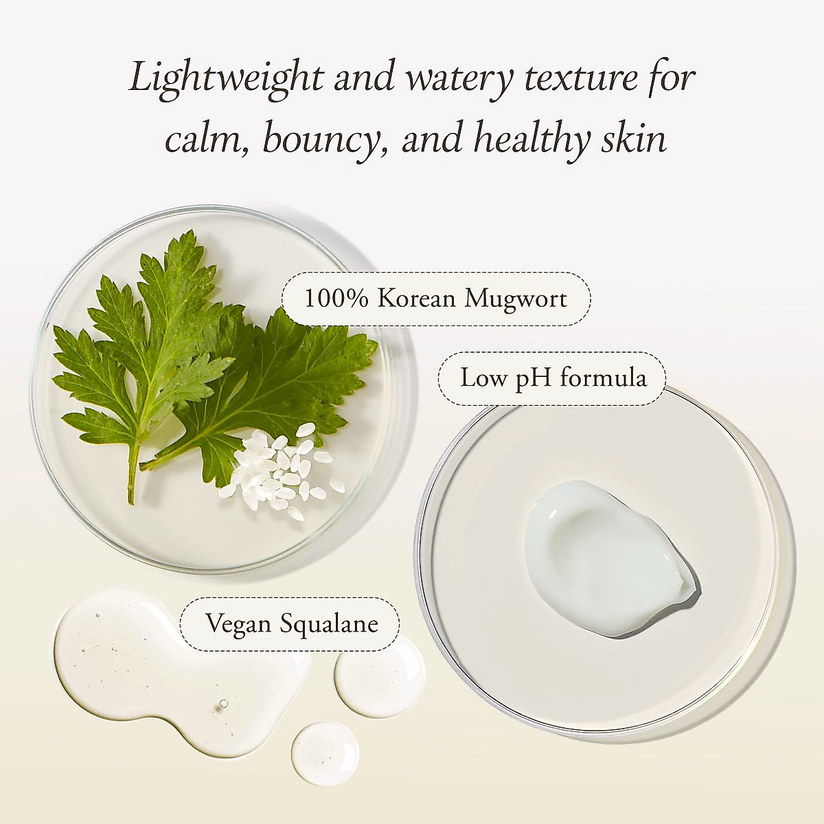 APRILSKIN Artemisia Squalane Hydra Gel Cream | Dry, Sensitive, Acne-Prone Skin | Vegan, Cruelty Free, Low pH, Soothing & Firming up | 50 ml | No sulfates and Artificial Fragrance