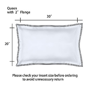 RANZNAZ Set of 2 Elegant Embroidery Pillowcases, Queen Size, 100% Cotton - White Good Feeling Shams, Elegant Trims, Softer and Breathable Pillow Covers, 20x30 inches