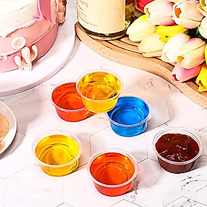 Gerrii 500 Count Plastic Souffle Cups Disposable Portion Cups Without Lid Condiment Cups Small Sauce Cups Clear Mini Plastic Containers for Portion Control Meal Sample Dressing (2 oz)