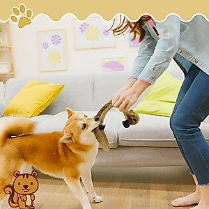 Alphatool Squeaky Dog Toy - Tough No Stuffing Squirrel Toys to Keep Dog Busy, Small Medium Large Dogs, Durable Interactive Plush Puppy Toys for Birthday Gift