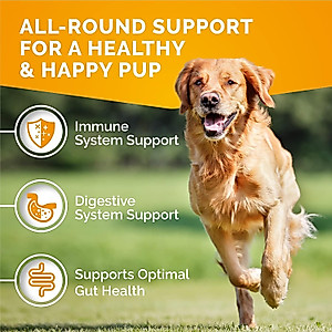 PREMIUM CARE Itch Relief for Dogs - 120 Allergy Chews for Dogs - Anti Itch Seasonal Support for Pets Itchy Skin Relief Skin Health Support with Colostrum, Vitamin C, Omega and Bee Pollen