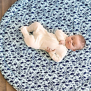 Bebe au Lait Round Play Mat - Dinomite