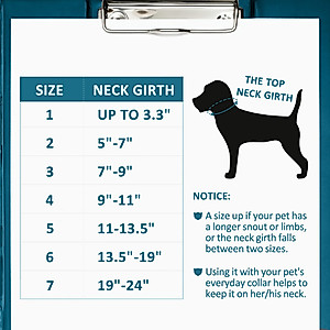 Zeaxuie Soft Inflatable Dog Cone Collar for Dogs After Surgery with Enhanced Anti-Licking for Unrestricted in Daily Life, Pack of One, Blue (Size 2)