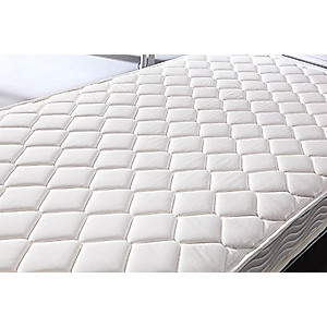 Home Life 6-Inch Twin Size Spring Mattress (Twin) (furMattB3260Twin_Mint)