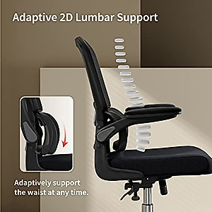 Logicfox Ergonomic Office Chair, Breathable Mesh Chair with Adjustable Height, Computer Chair with a Double Lumbar Support and Flip-up Arms, Home Office Desk Chair with 90°-130° Tilt Function