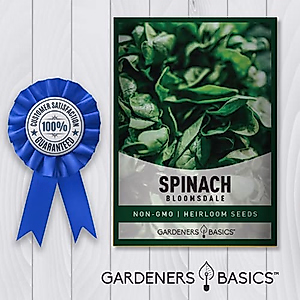 Bloomsdale Spinach Seeds for Planting is A Great Heirloom, Non-GMO Vegetable Variety- Great for Indoor, Outdoor and Hydroponics Gardening by Gardeners Basics