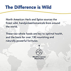 NORTH AMERICAN HERB & SPICE Super Strength Oreganol P73 - 120 Softgels - Immune System Support - Vegan Friendly Wild Oregano - 285% More Potent Than Regular Strength - Non-GMO - 120 Servings